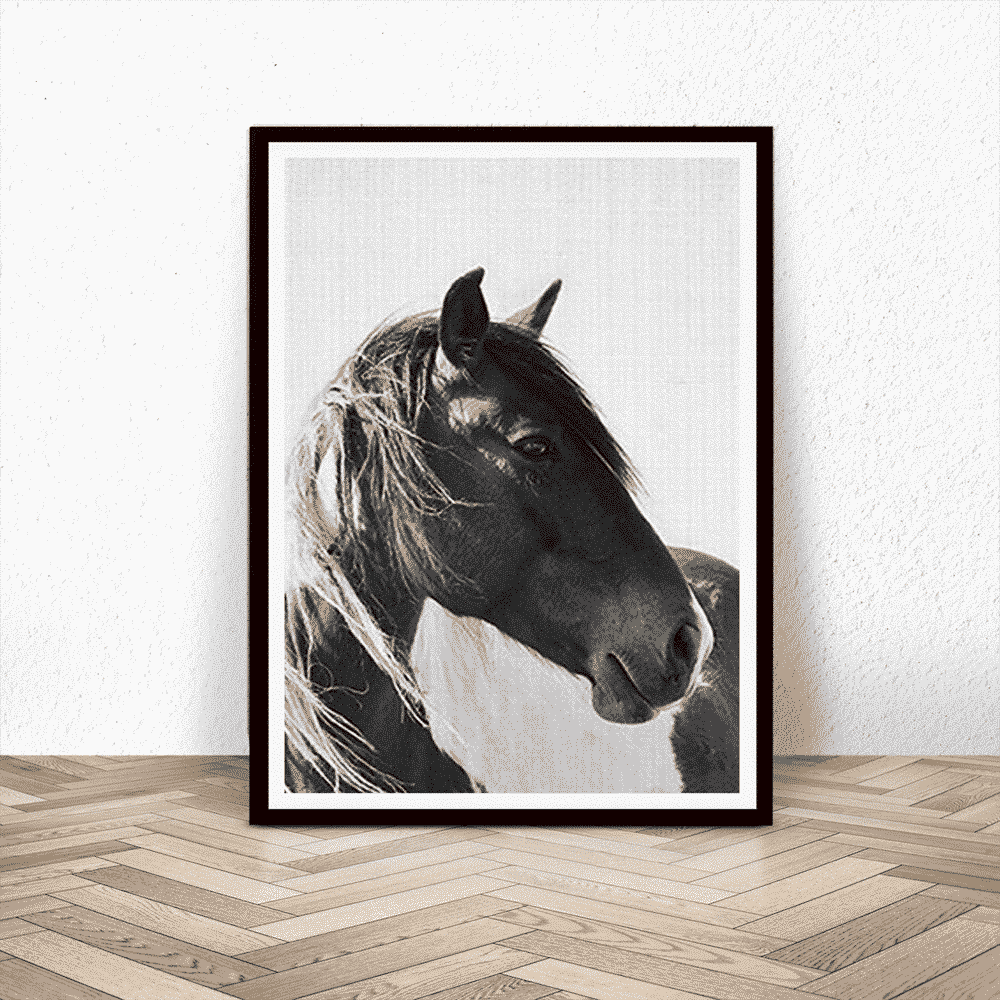 Calul, Tablou de Perete cu Fotografie, Alb Negru, Animale din ...